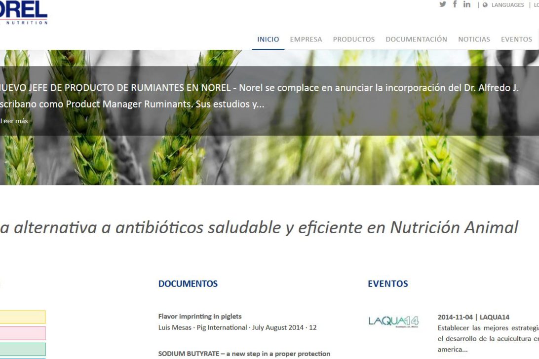 -NOREL Archives - Avicultura