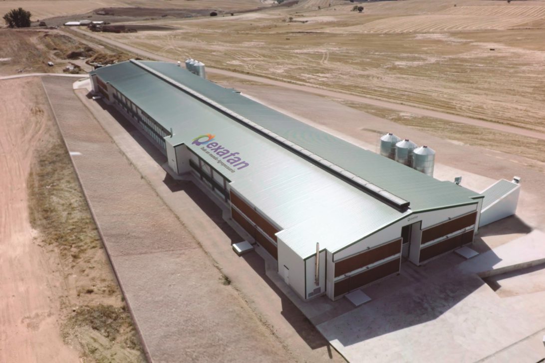 -EXAFAN S.A. Archives - Avicultura