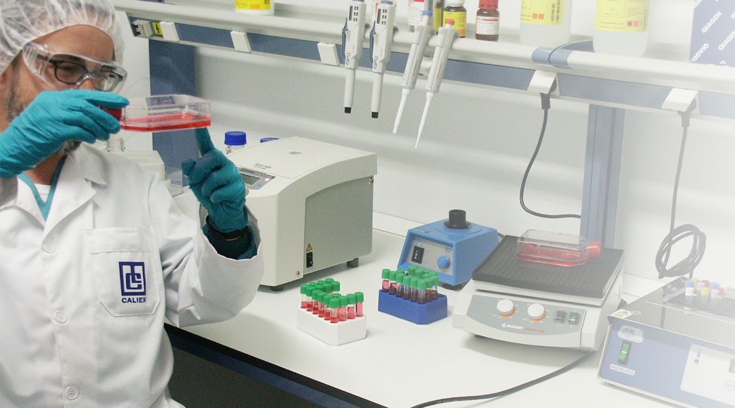 Calier invierte 20M€ para ampliar sus instalaciones en León - Avicultura