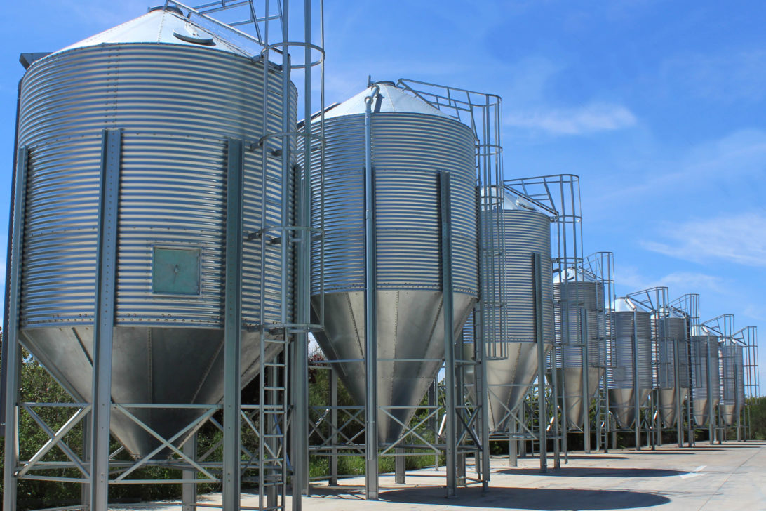 -SYMAGA S.A. Archives - Avicultura