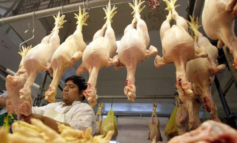Incremento 3,5% producción avícola en Perú