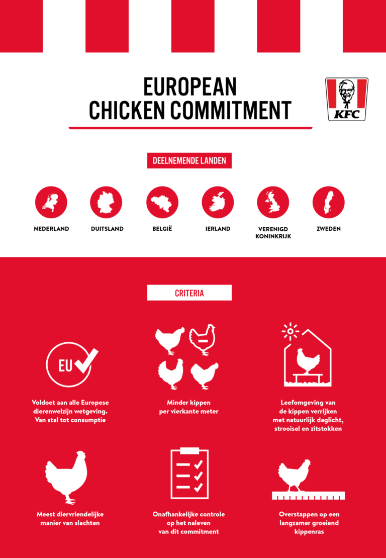 El ECC, el consorcio animalista que puede cambiar el mercado del pollo ...