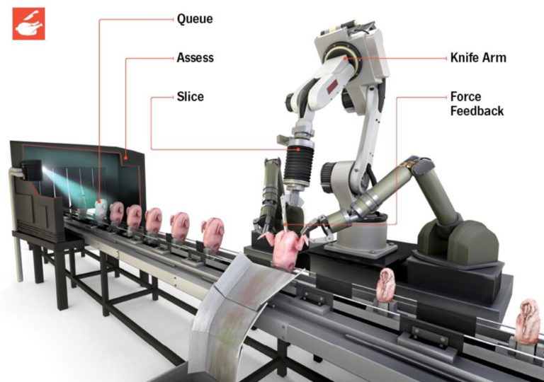 Tyson acelerará sus inversiones en automatización y robotización en ...
