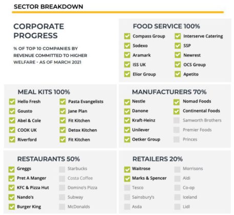 Reino Unido: El 25% de la cadena alimentaria del pollo se ha ...