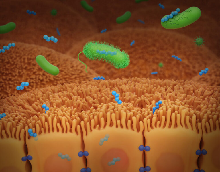 Proporcionando los productos adecuados para la nutrición animal ...