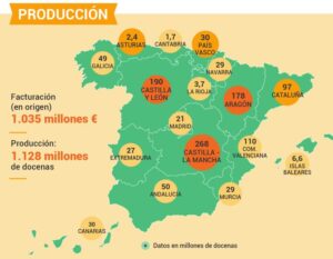 Evolucion del mercado del huevo - Avicultura